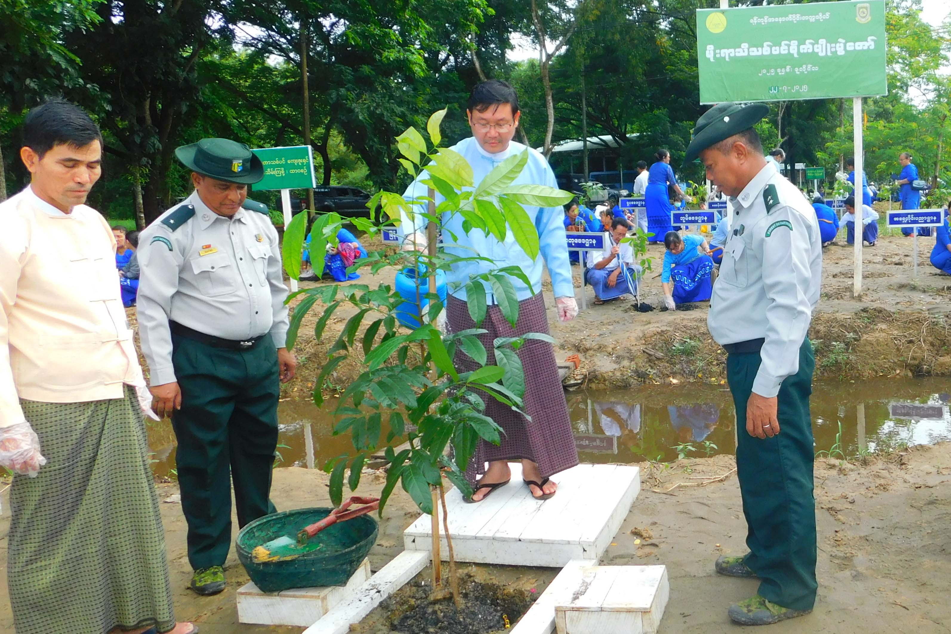 University of West Yangon Holds Joint Tree Planting Festival | Myanmar Digital News