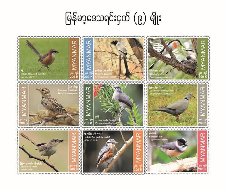 New stamp featuring nine native Myanmar birds to go on sale on 20 Aug ...