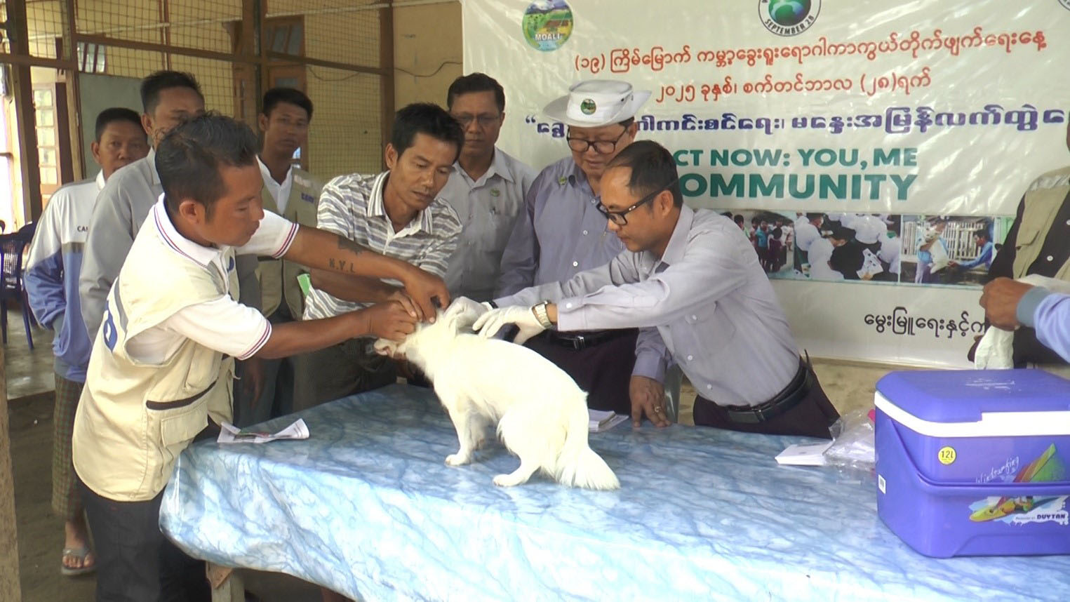 Rabies prevention vaccinations provided on World Rabies Day | Myanmar ...