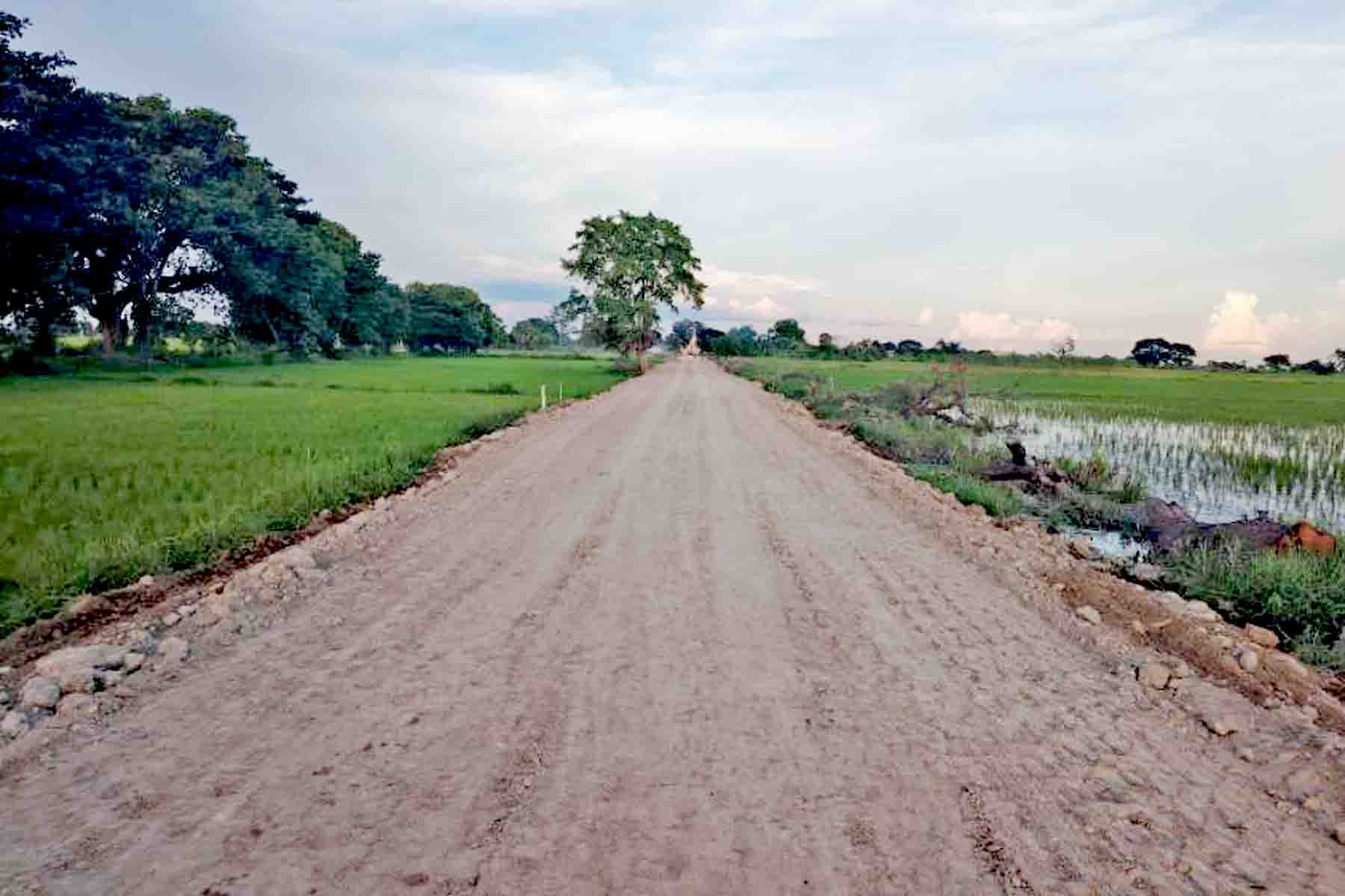 80% of rural road in Thamawinn village, Pwintbyu Tsp. completed ...