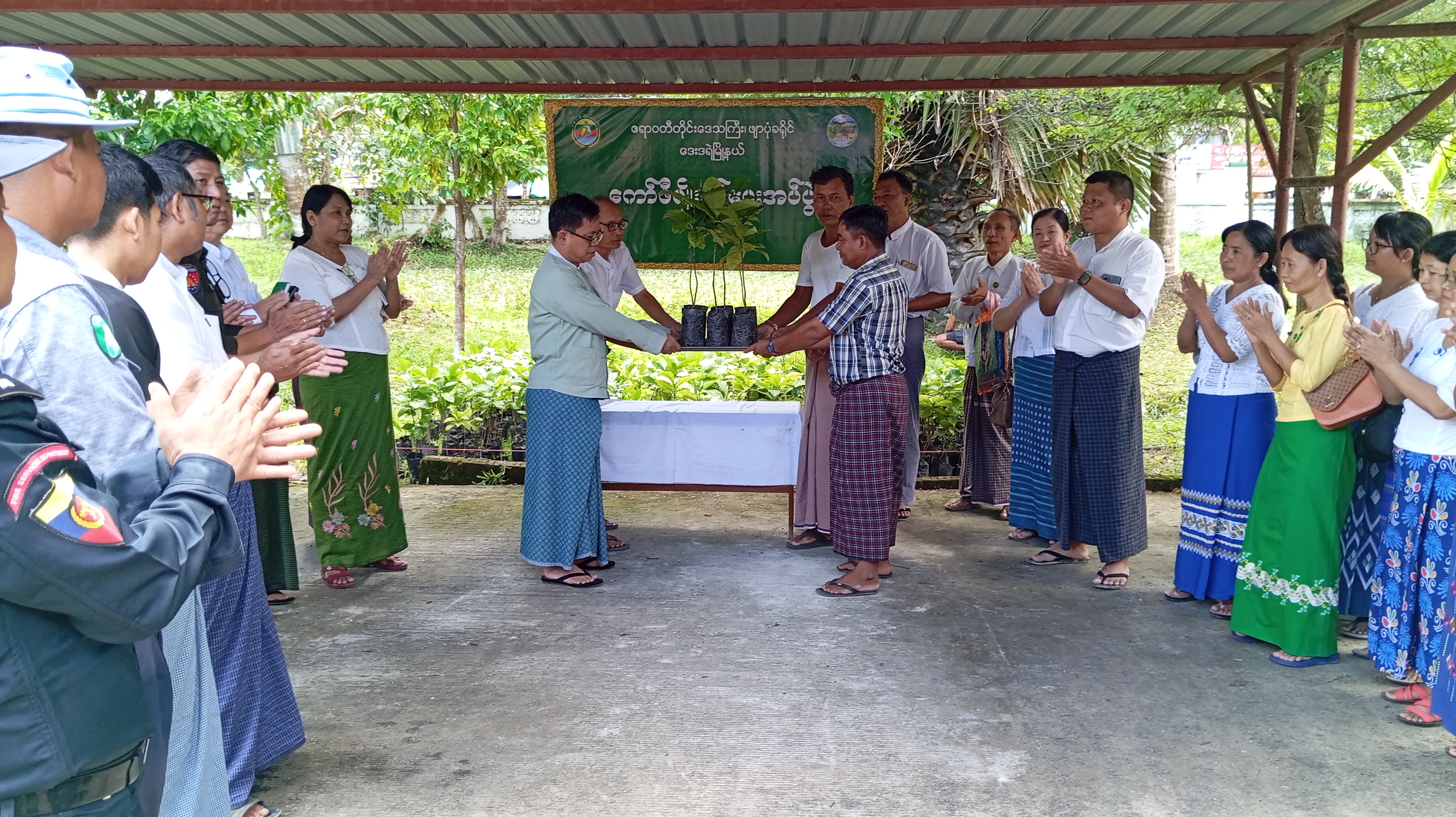 Coffee Saplings Distributed to Farmers in Dedaye Township | Myanmar ...