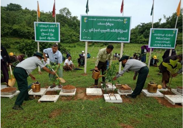 Collective tree planting activity conducted in Mrauk-U Twsp. | Myanmar ...