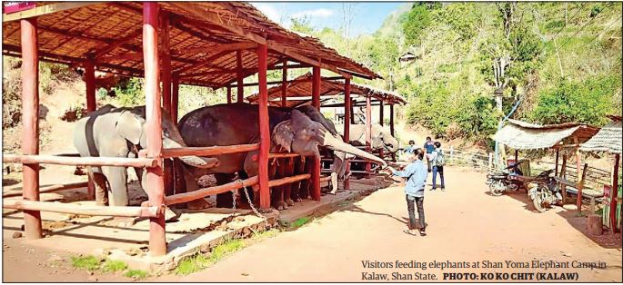Shan Yoma Elephant Camp ready to welcome visitors | Myanmar Digital News