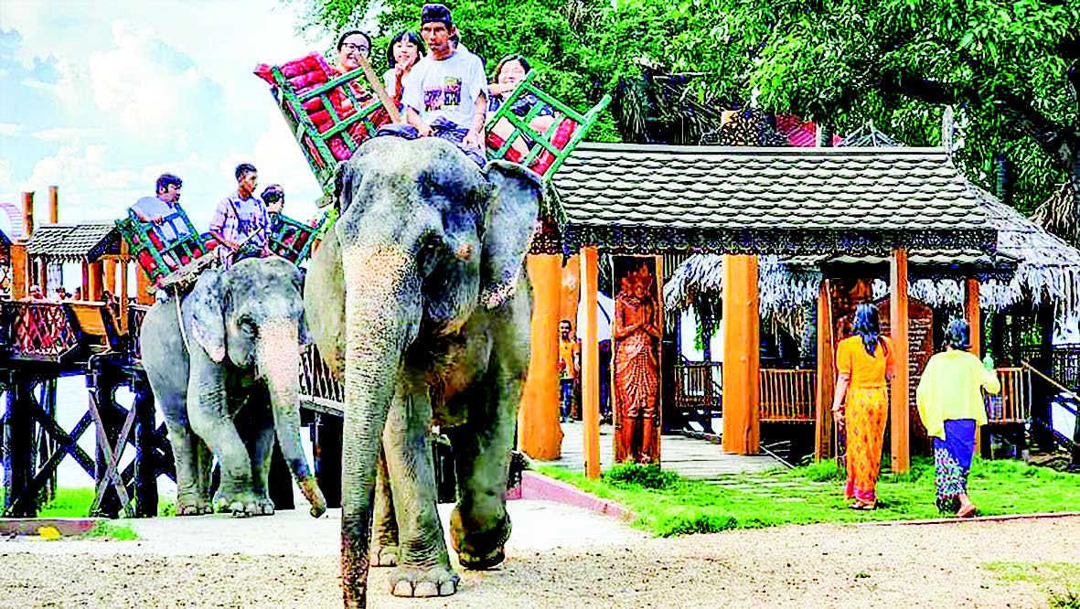 Myanma Timber Enterprise prepares Palinkanthaya elephant resort for ...