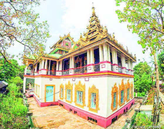 Over 170-year-old upside-down star flower tree conserved in Pyapon ...