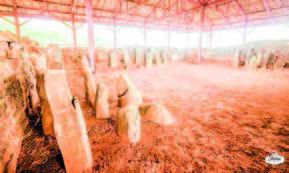 Paper on four ages of Myanmar history compiled | Myanmar Digital News