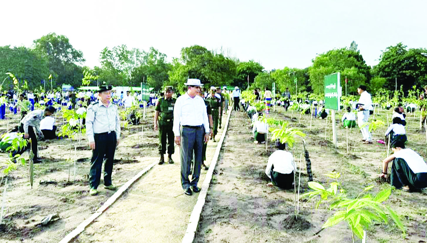လှည်းကူးမြို့နယ် သမဝါယမကောလိပ်ဝင်း(ဖောင်ကြီး)၌ မိုးရာသီသစ်ပင်စိုက်ပ ...