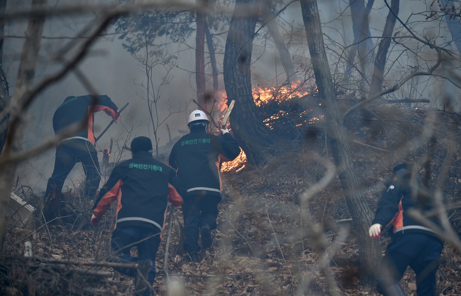 180 households evacuated as forest fire burning in southeast S. Korea ...